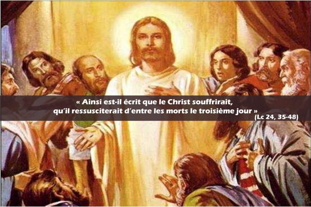 Dimanche prochain | Homélie du 3ème dimanche de Pâques